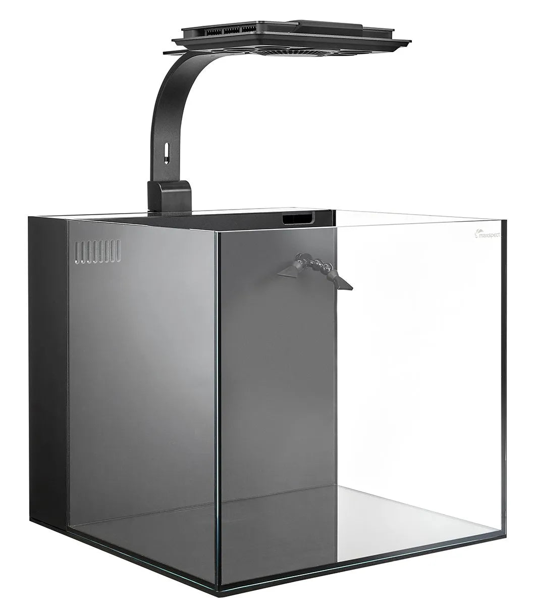 Dice AIO 12 Gallon Nano Cube Aquarium w/ MJ-L165 LED – Nature Aquariums USA