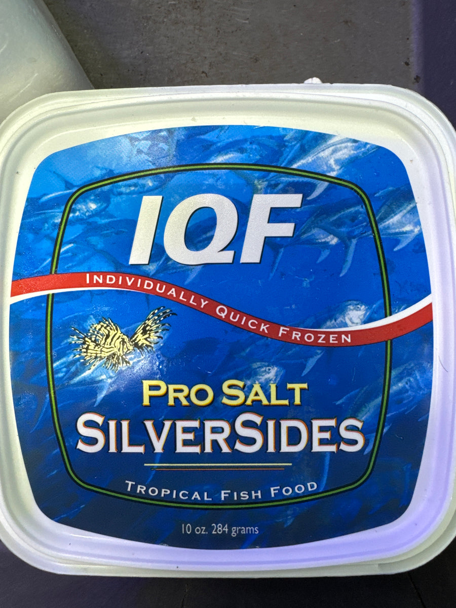 PS IQF Silversides - 10 oz. - TUB – Nature Aquariums USA