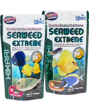 Hikari USA Seaweed Extreme Pellets Fish Food – Nature Aquariums USA