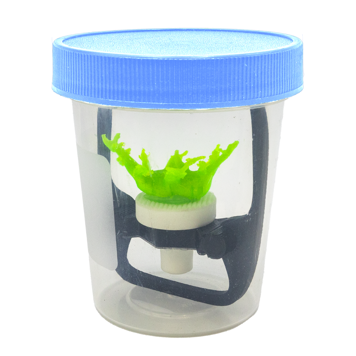FragLoc™ - Coral Frag Transport Cup Kit – Nature Aquariums USA
