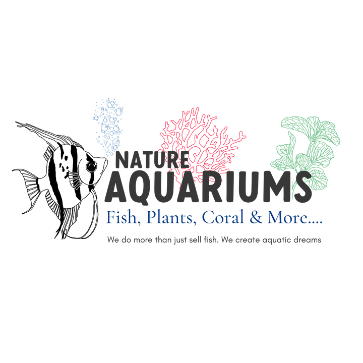 UNS Dual Fresh and Marine All In One Aquariums – Nature Aquariums USA