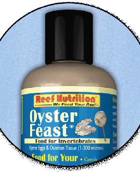 Oyster Feast - 6 oz. – Nature Aquariums USA