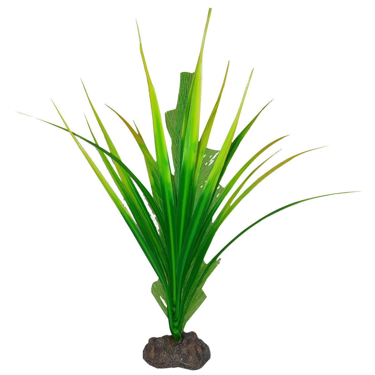 Silk Yellow Parrot Feather Plant – Nature Aquariums USA