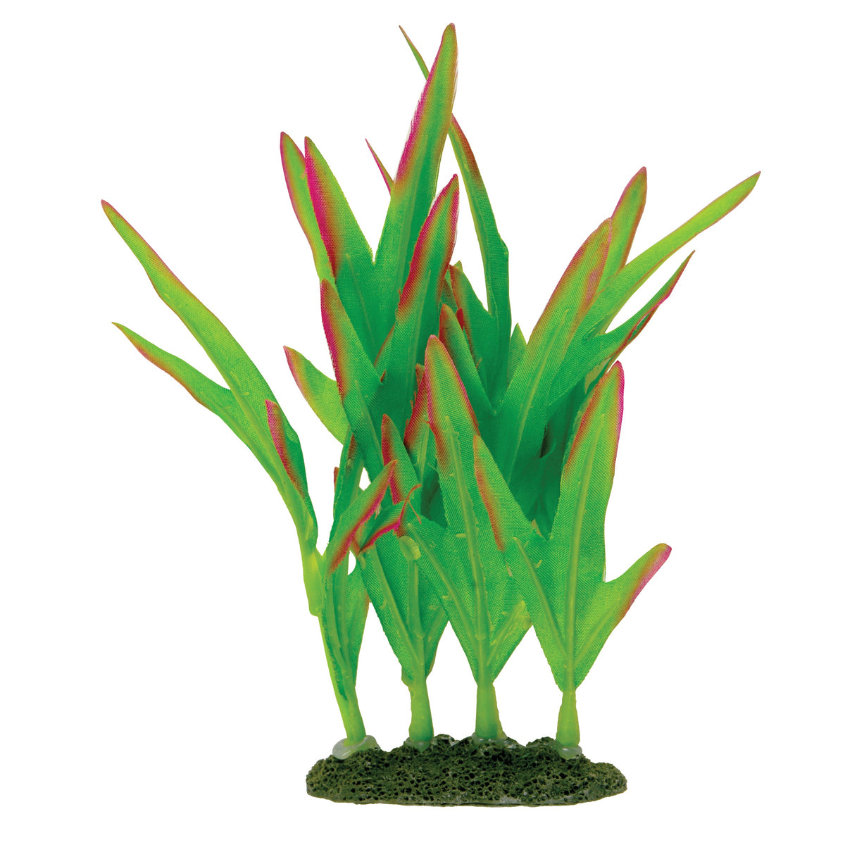 MA Nat Green Foreground Plant – Nature Aquariums USA