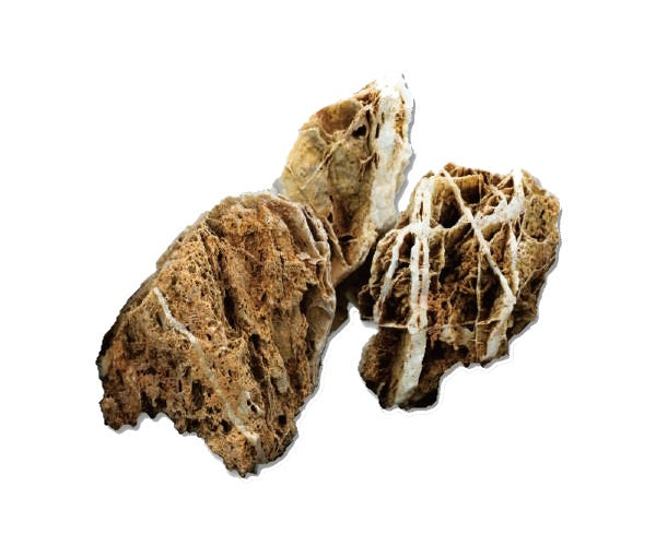 Chicken Bone Stone – Nature Aquariums USA