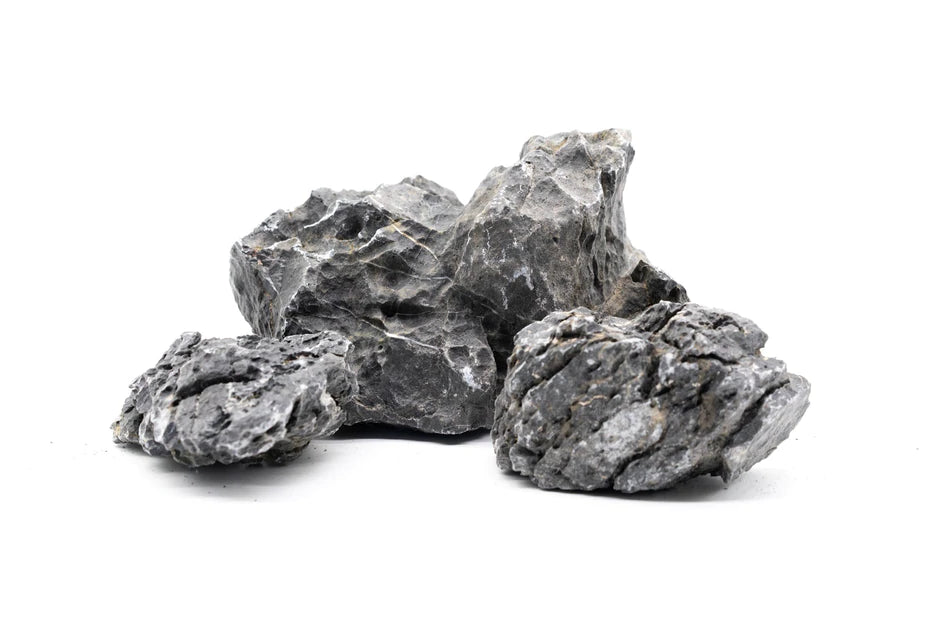 Blue Seiryu Stone – Nature Aquariums USA