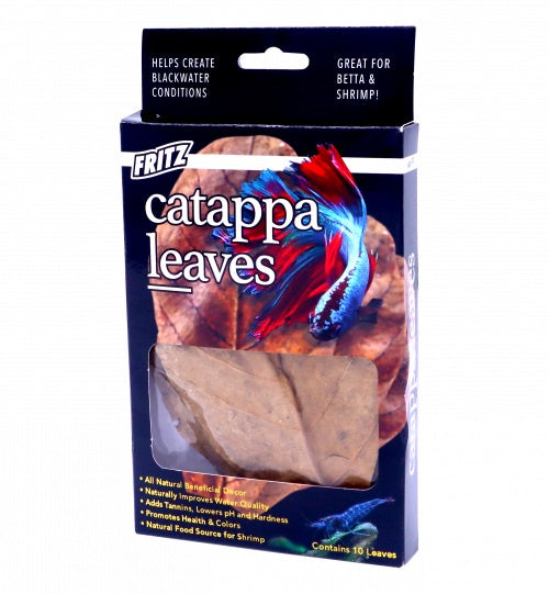 Catappa Leaves - 10 count – Nature Aquariums USA