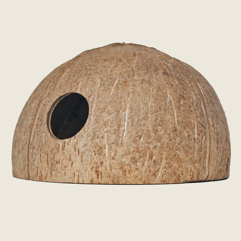 Coconut Hut – Nature Aquariums USA