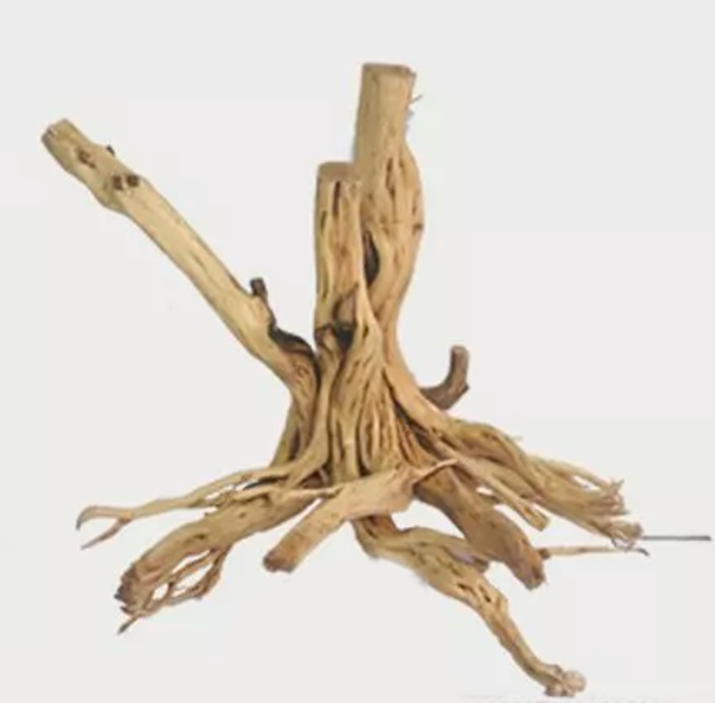 REDMOOR ROOT – Nature Aquariums USA